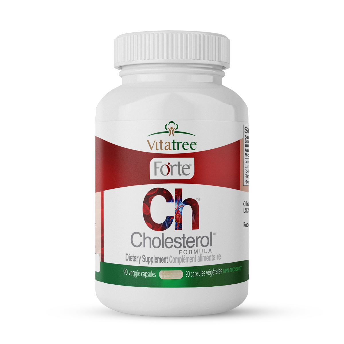 Cholesterol Formula