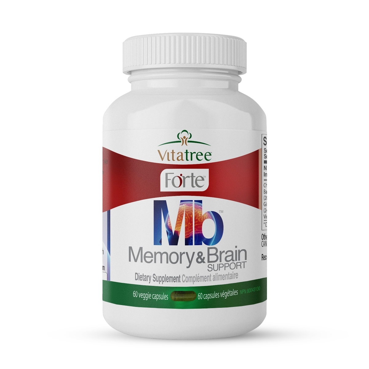 Memory and Brain Support